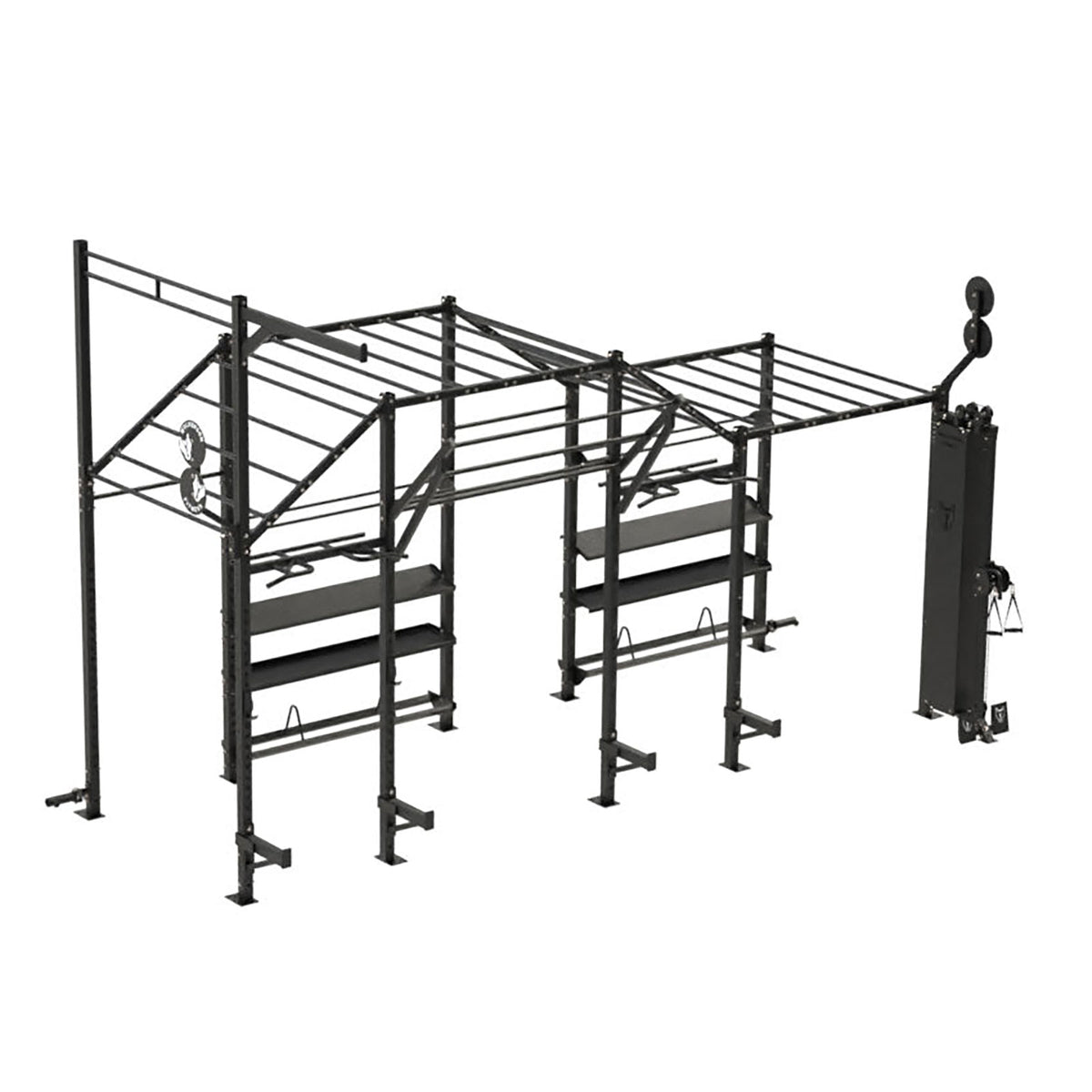 Bison Series - Custom Rig Design | Personalised CrossFit Rig