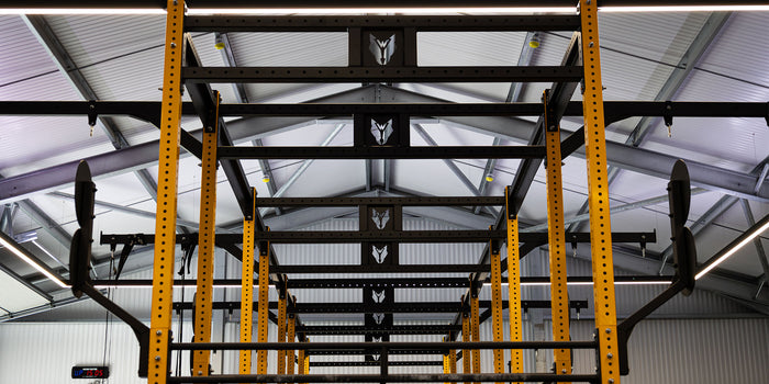 Custom Gym Rigging