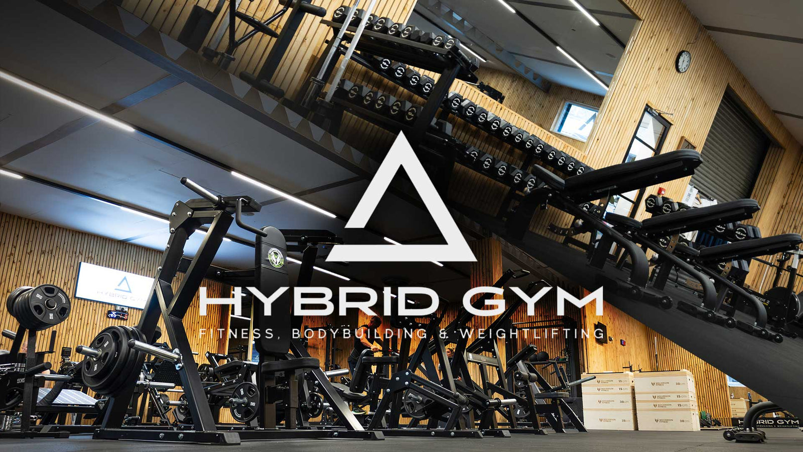 The Hybrid Gym